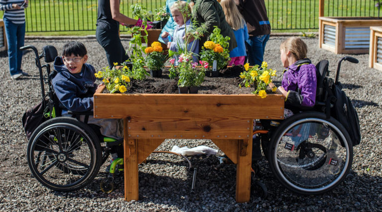 ADA-Compliant Forward-Facing Wheelchair Garden – Accessible Gardens